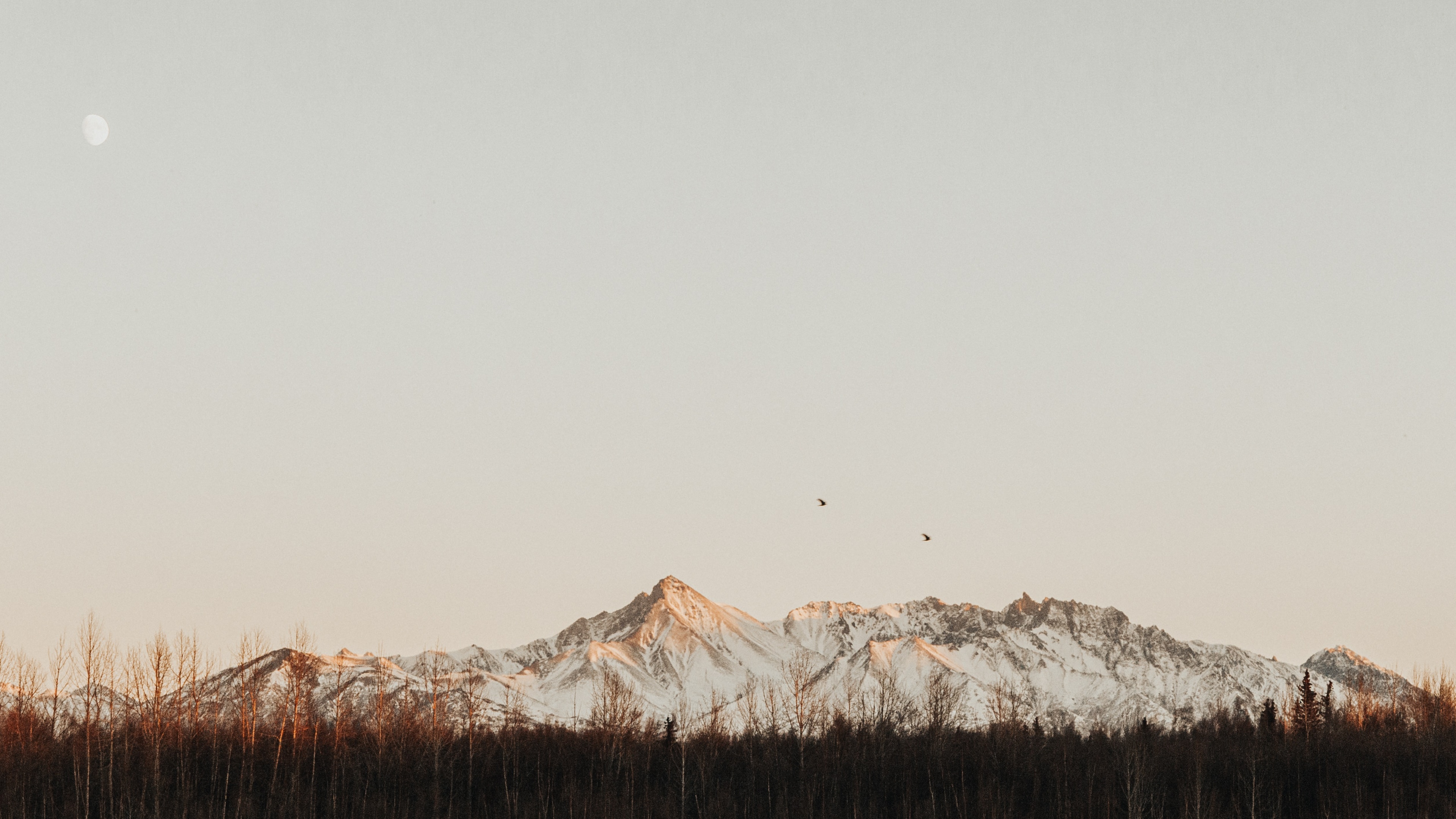 论文解读 | TALK LIKE A GRAPH： ENCODING GRAPHS FOR LARGE LANGUAGE MODELS | YuyaoGe's Website